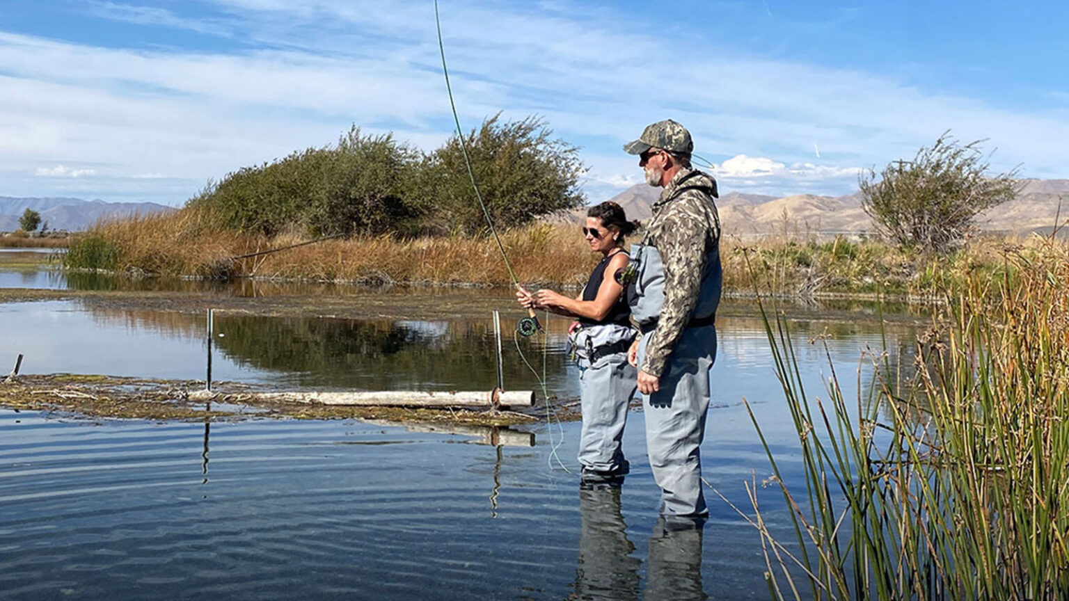 News - Higher Ground